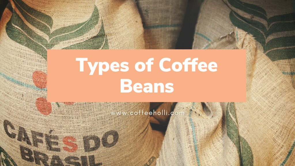 Today’s 4 Most Popular Types of Coffee Beans - CoffeeHolli.com